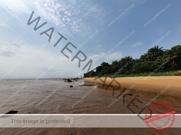 Tiki Ô Manoka, exploration de la plus grande île du Cameroun dans la ...