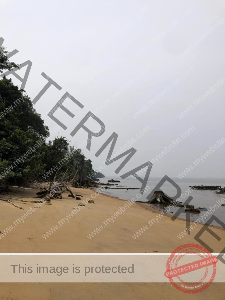 Tiki Ô Manoka, exploration de la plus grande île du Cameroun dans la ...