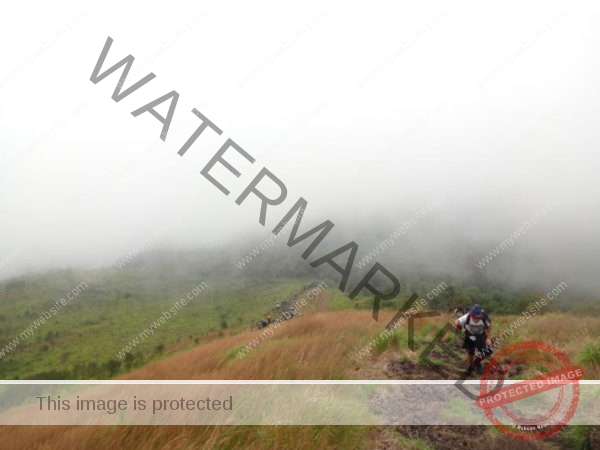 Randonnée sur le mont Cameroun - Tourismo